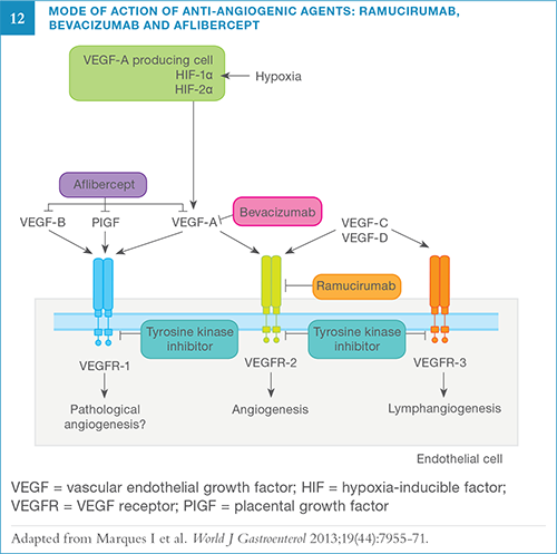 New Agents and Strategies in the Management of Noncolorectal ...