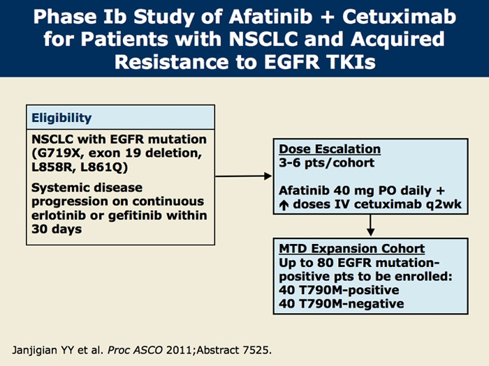 Studies in Advanced NSCLC of Maintenance Pemetrexed and Erlotinib and ...