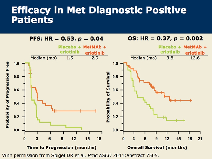 Studies in Advanced NSCLC of Maintenance Pemetrexed and Erlotinib and ...